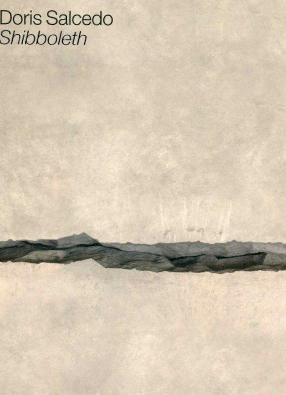 Doris Salcedo: Shibboleth by A. Borchardt-Hume | Goodreads