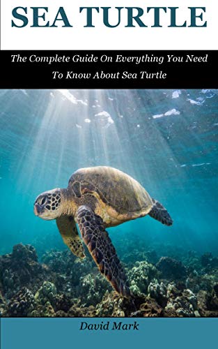 Sea Turtle: The Complete Guide On Everything You Need To Know About Sea ...