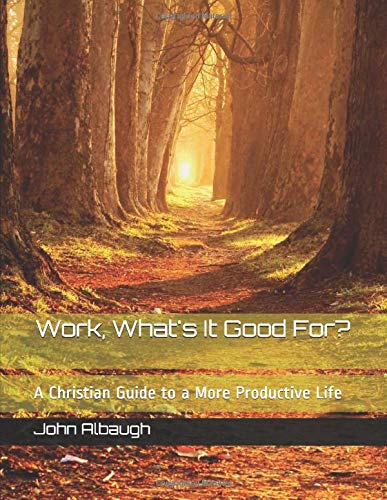 Work, What's It Good For?: A Christian Guide to a More Productive Life ...