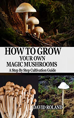 HOW TO GROW YOUR OWN MAGIC MUSHROOMS: A Step By Step Cultivation Guide ...