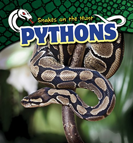 Pythons (Snakes on the Hunt) by Amy Austen | Goodreads