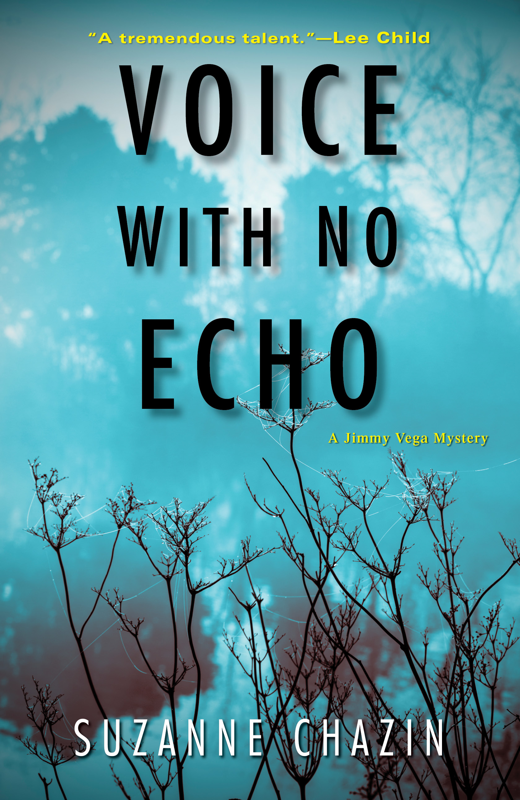 Voice with No Echo (A Jimmy Vega Mystery #5) by Suzanne Chazin | Goodreads
