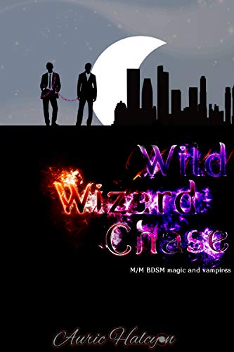 Wild Wizard Chase (Spell and Fang, #1) by Auric Halcyon | Goodreads