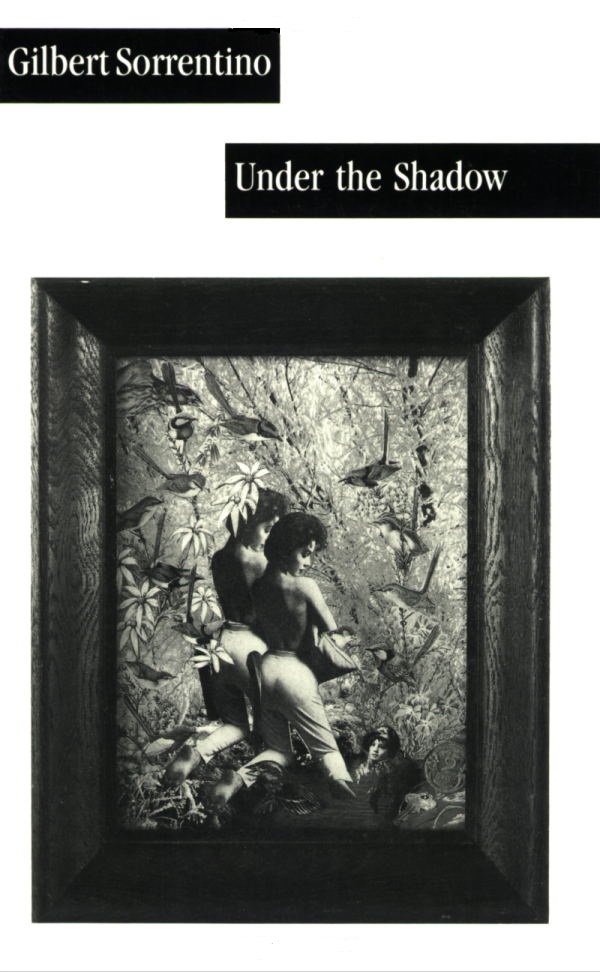 Under the Shadow by Gilbert Sorrentino | Goodreads