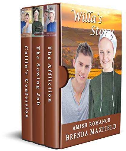 Willa's Story by Brenda Maxfield | Goodreads