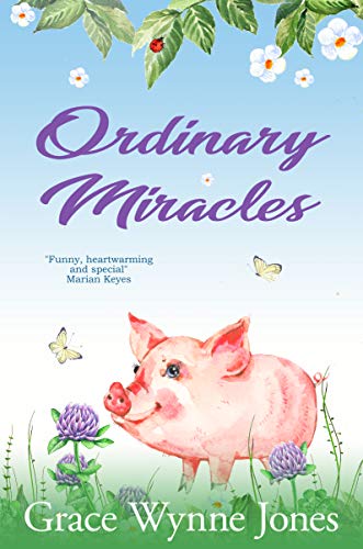 Ordinary Miracles by Grace Wynne-Jones | Goodreads