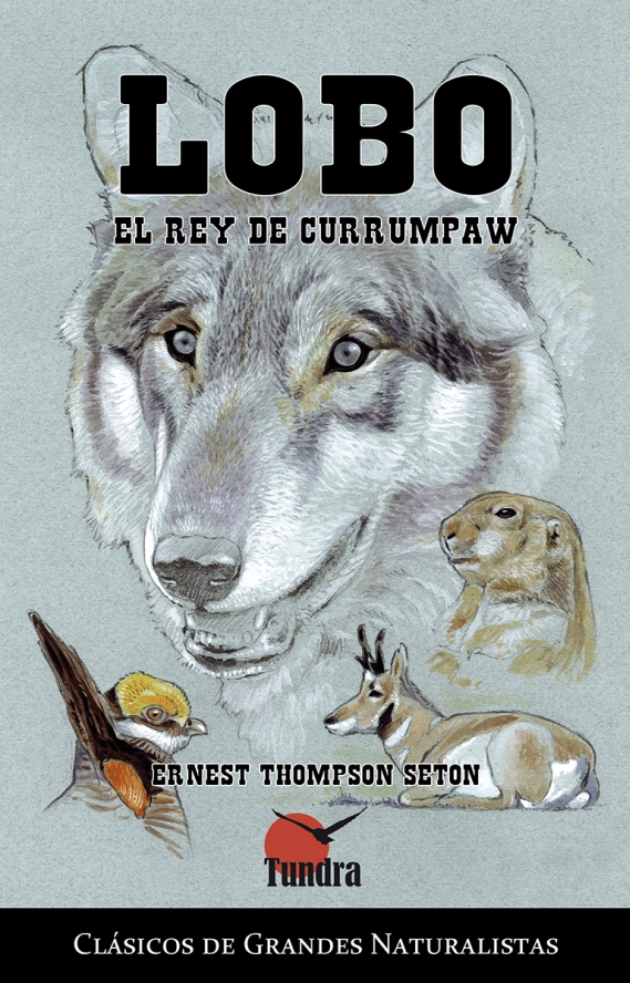 Lobo, el rey de Currumpaw by Ernest Thompson Seton | Goodreads