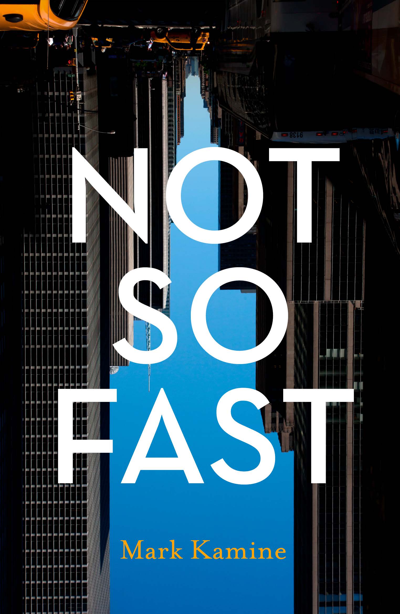 Not So Fast by Mark Kamine | Goodreads