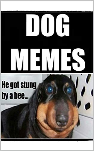 Memes: Woof Woof It's Funny Dog Memes Mad DOGGOS And Other Funny Memes ...
