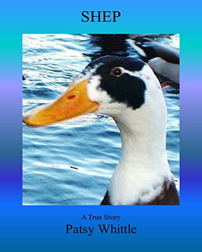 Shep: A True Story by Patsy Whittle | Goodreads