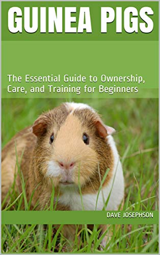 Guinea Pigs The Essential Guide To Ownership Care And Training For