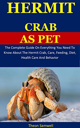 Hermit Crab As Pet: The Complete Guide On Everything You Need To Know ...