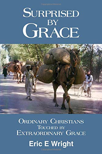 Surprised by Grace: Ordinary Christians Touched By Extraordinary Grace ...