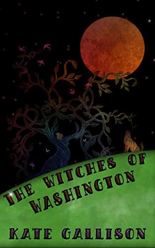 The Witches of Washington by Kate Gallison | Goodreads