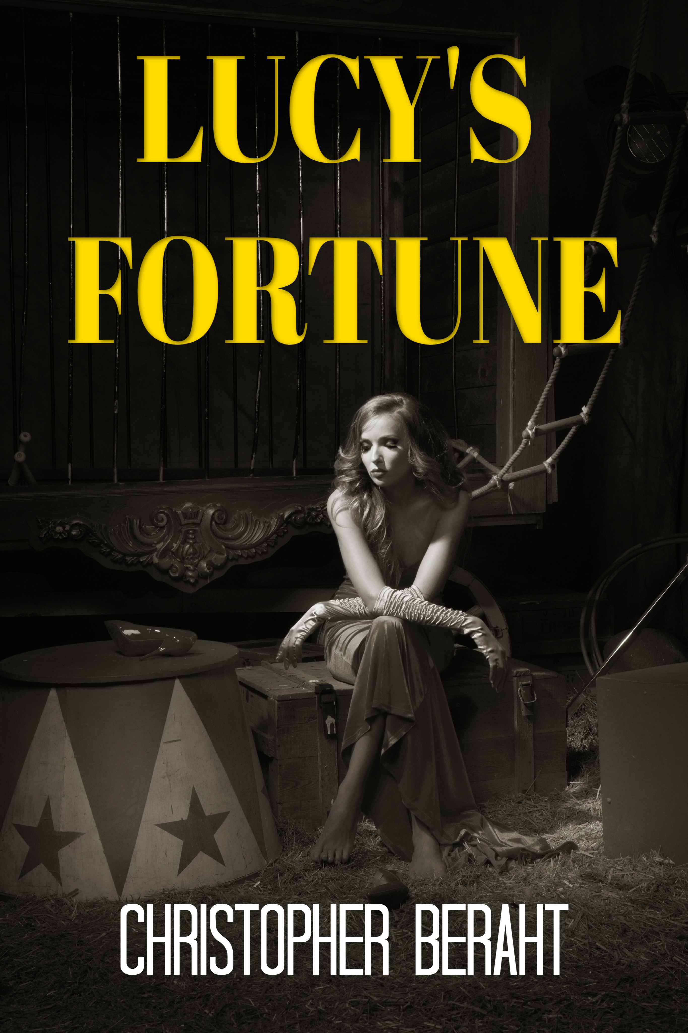 Lucy's Fortune by Christopher Beraht | Goodreads