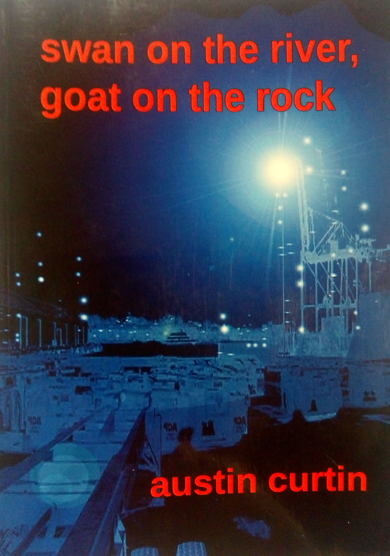 Swan on the River, Goat on the Rock by Austin Curtin | Goodreads