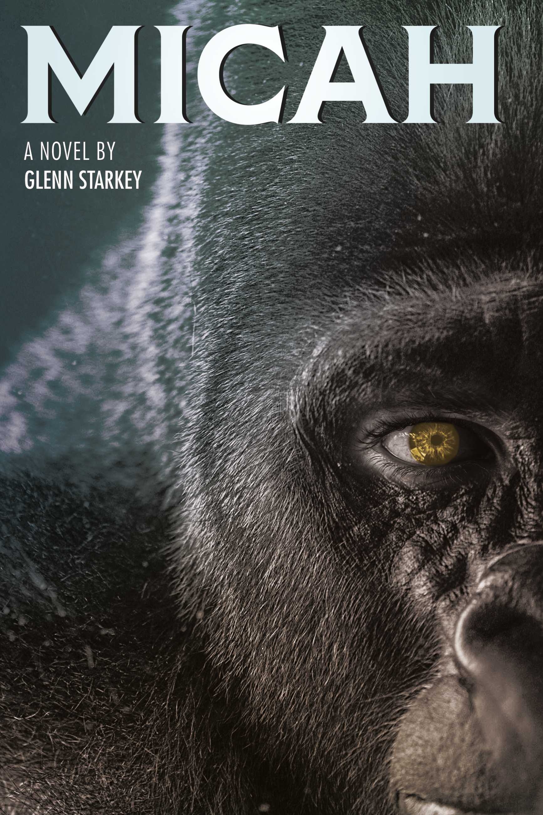 Micah by Glenn Starkey | Goodreads