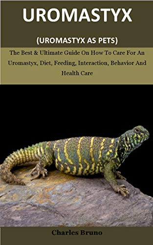 Uromastyx: The Best and Ultimate Guide On How To Care For An Uromastyx ...