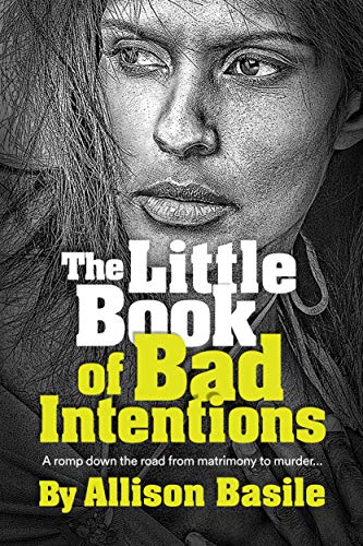 The Little Book of Bad Intentions: A romp down the road from matrimony ...