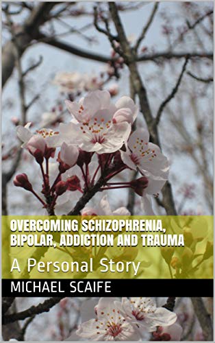 Overcoming Schizophrenia, Bipolar, Addiction and Trauma: A Personal ...