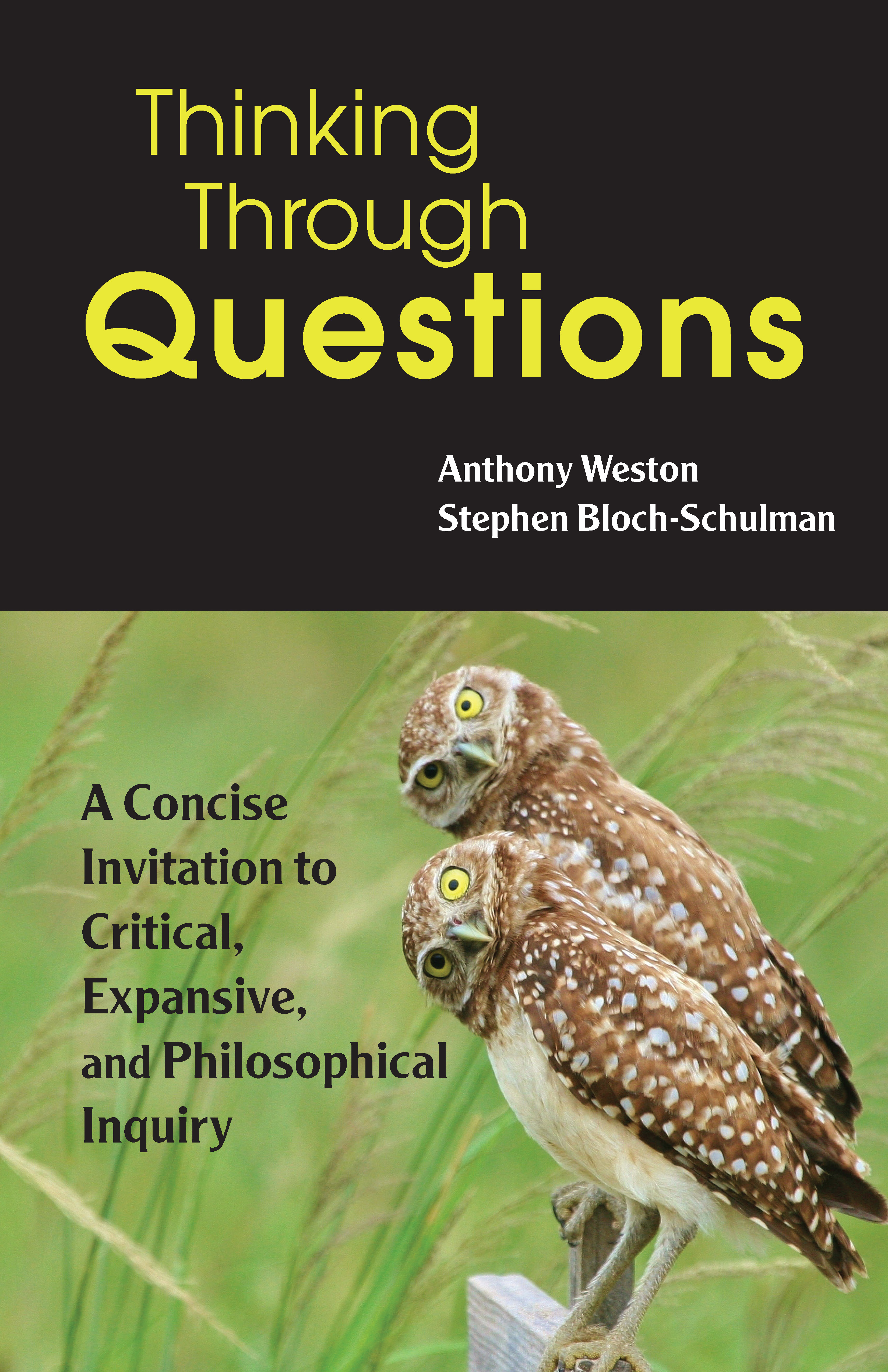 Thinking Through Questions: A Concise Invitation to Critical, Expansive ...