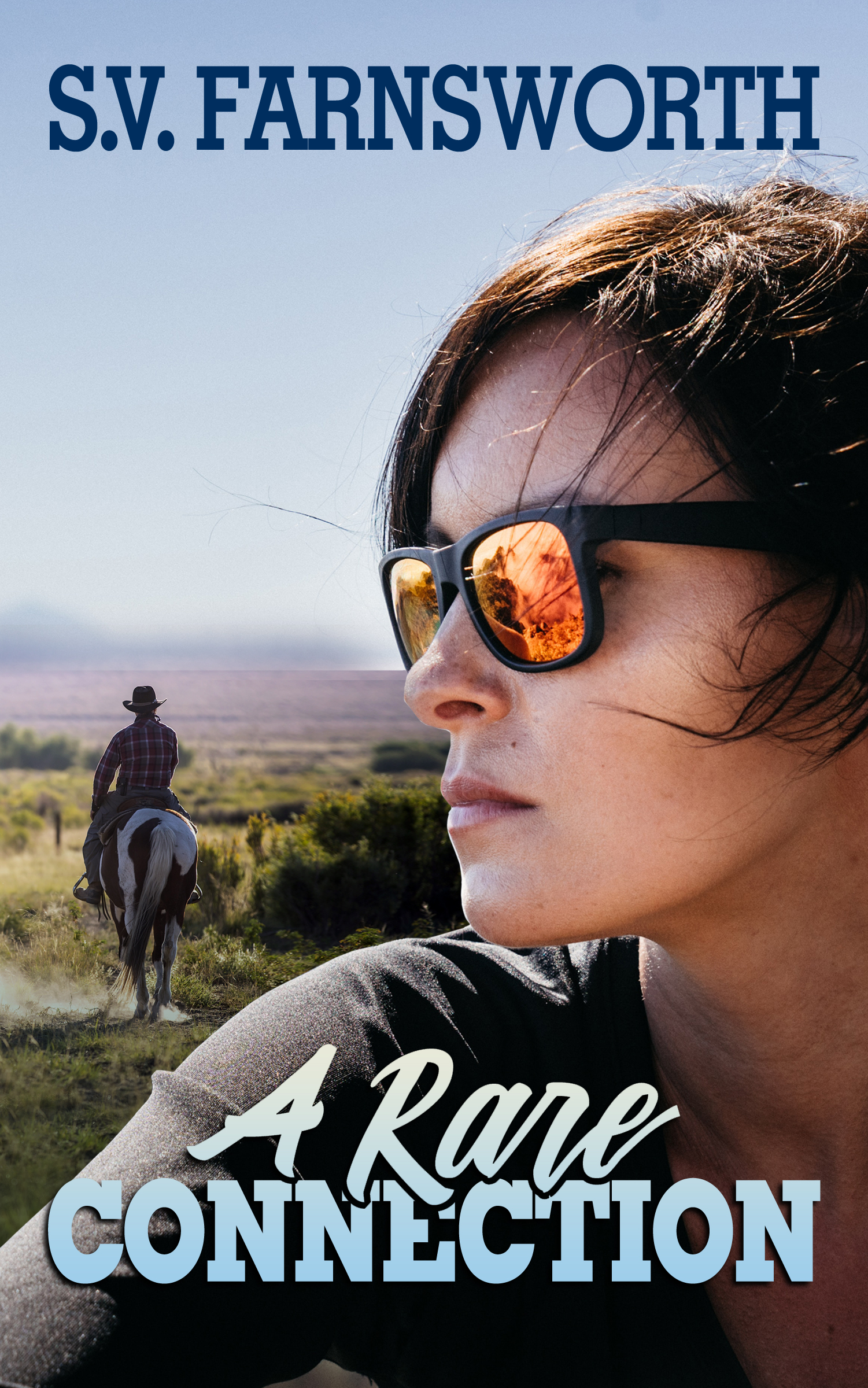 A Rare Connection by S.V. Farnsworth | Goodreads