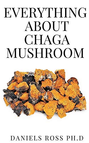 EVERYTHING ABOUT CHAGA MUSHROOM: Everything You Need TO Know About The ...