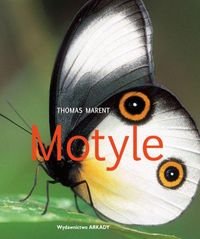 Motyle by Thomas Marent | Goodreads