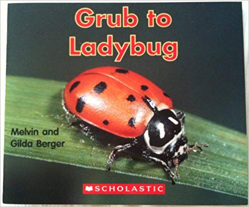 Grub to Ladybug by Melvin A. Berger | Goodreads