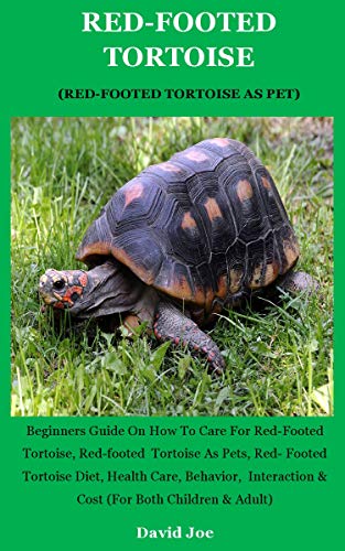 Red-Footed Tortoise (Red-footed Tortoise As Pet): Beginners Guide On ...