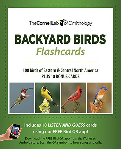 Backyard Birds Flash Cards - Eastern & Central North America by Cornell ...