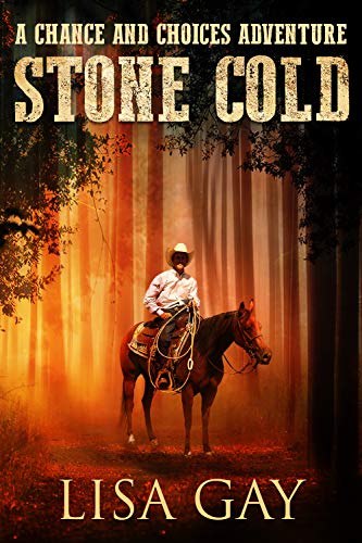 Stone Cold (A Chance and Choices Adventure Book 7) by Lisa Gay | Goodreads