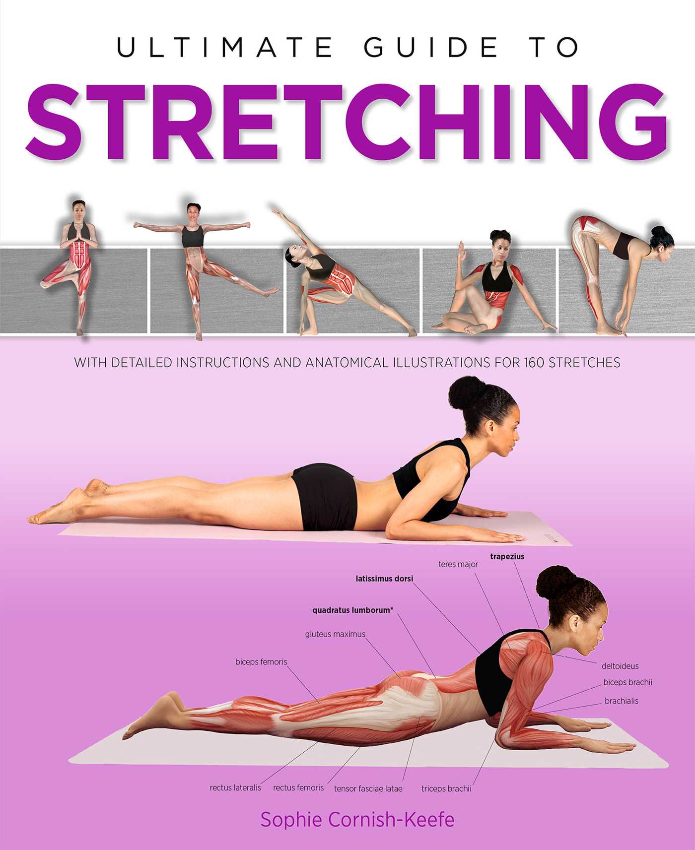 Ultimate Guide to Stretching by Sophie Cornish-Keefe | Goodreads