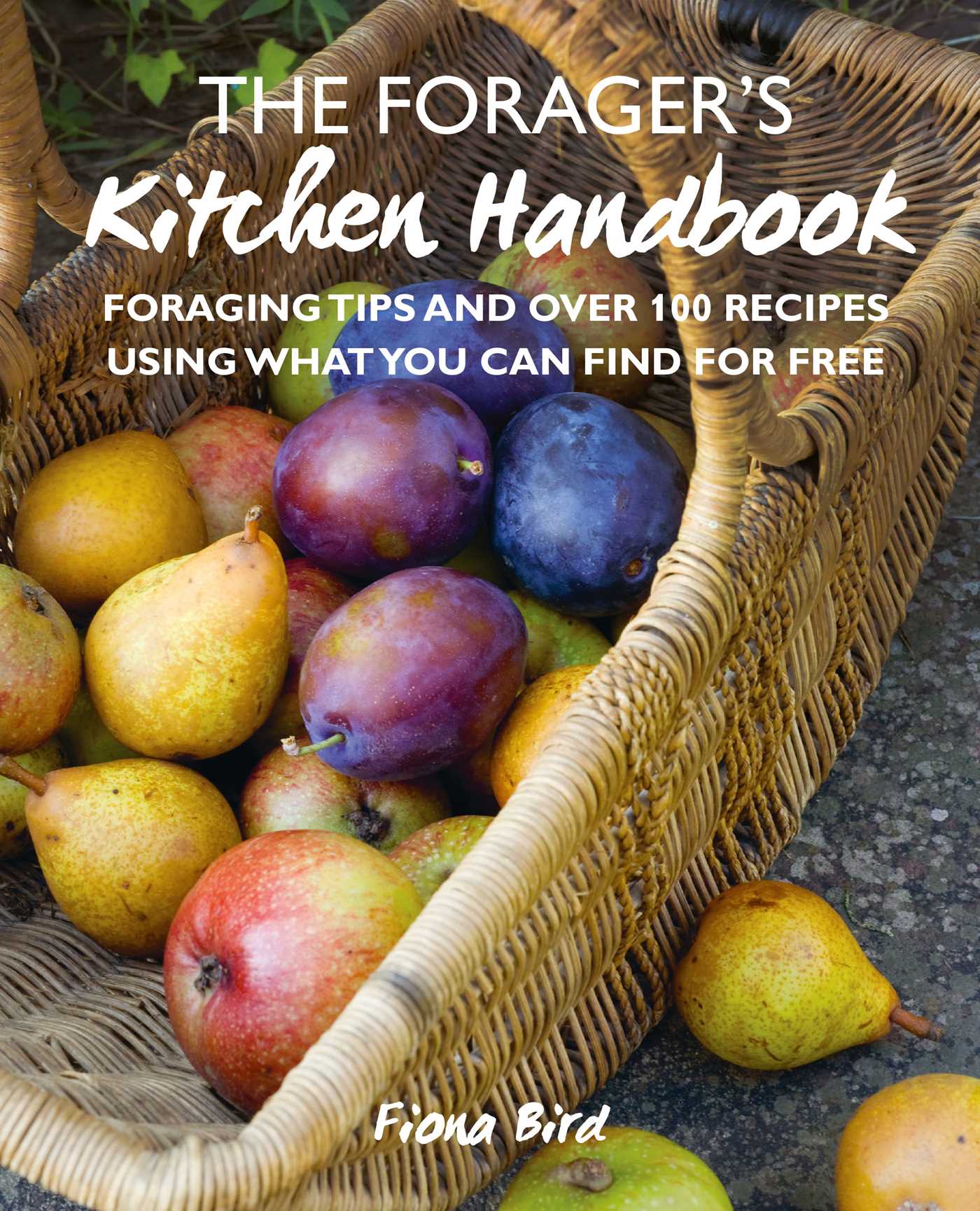 The Forager’s Kitchen Handbook: Foraging tips and over 100 recipes ...