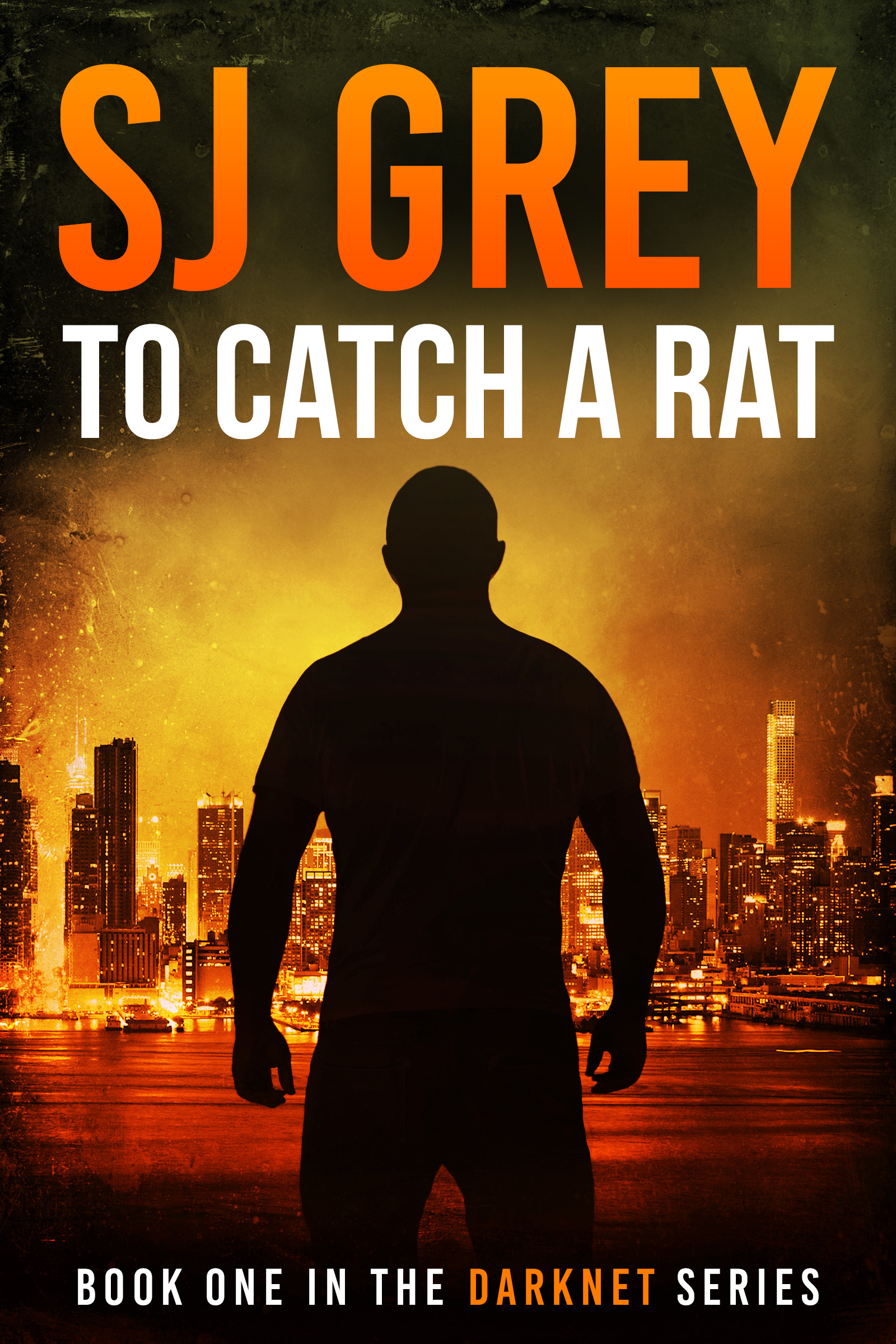 To Catch a RAT (Darknet, #1) by S.J. Grey | Goodreads