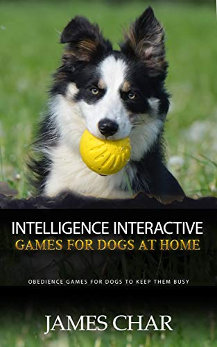 INTELLIGENCE INTERACTIVE GAMES FOR DOGS AT HOME: Obedience Games For ...