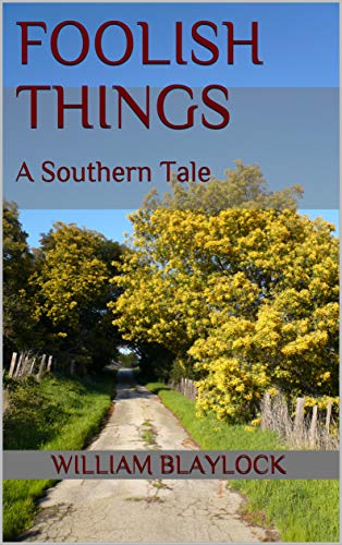 FOOLISH THINGS: A Southern Tale by William Blaylock | Goodreads