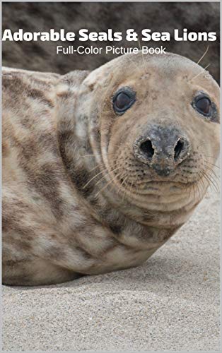 Adorable Seals & Sea Lions Full-Color Picture Book: Seals Picture Book ...