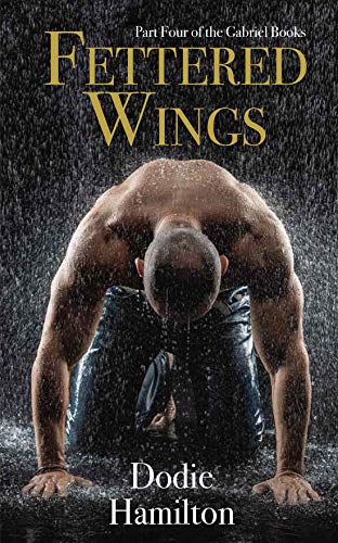Fettered Wings: Part Four of the Gabriel Books by Dodie Hamilton ...