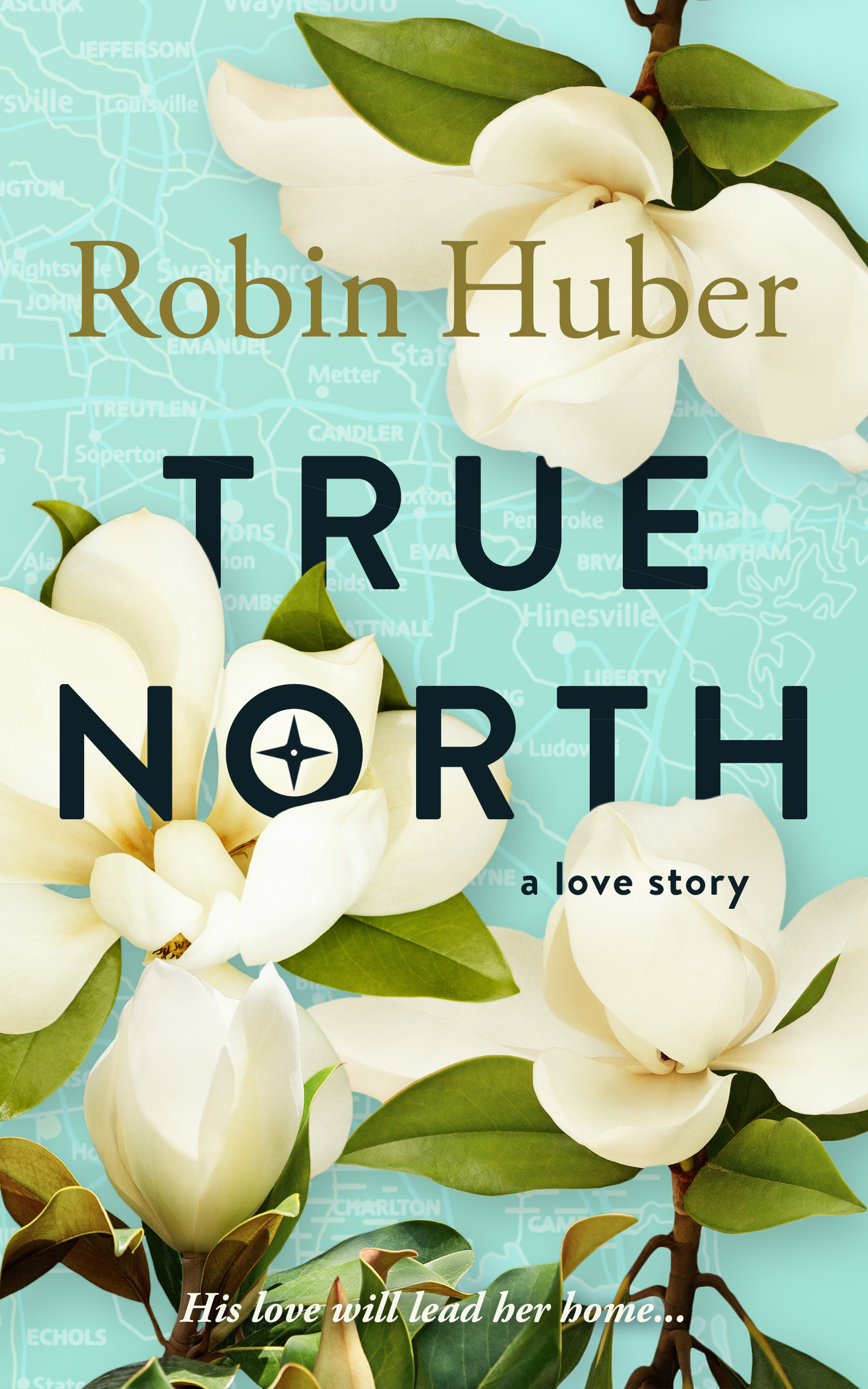 True North by Robin Huber | Goodreads
