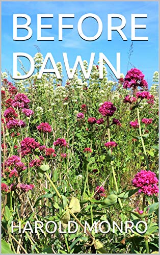 BEFORE DAWN by Harold Monro | Goodreads