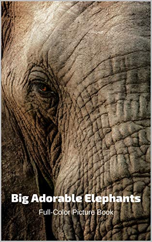 Big Adorable Elephant Full-Color Picture Book: Elephant Photography ...