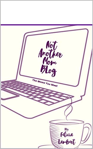 Not Another Mom Blog: Book 1: The Moms You Meet by Felicia Rose Lambert ...