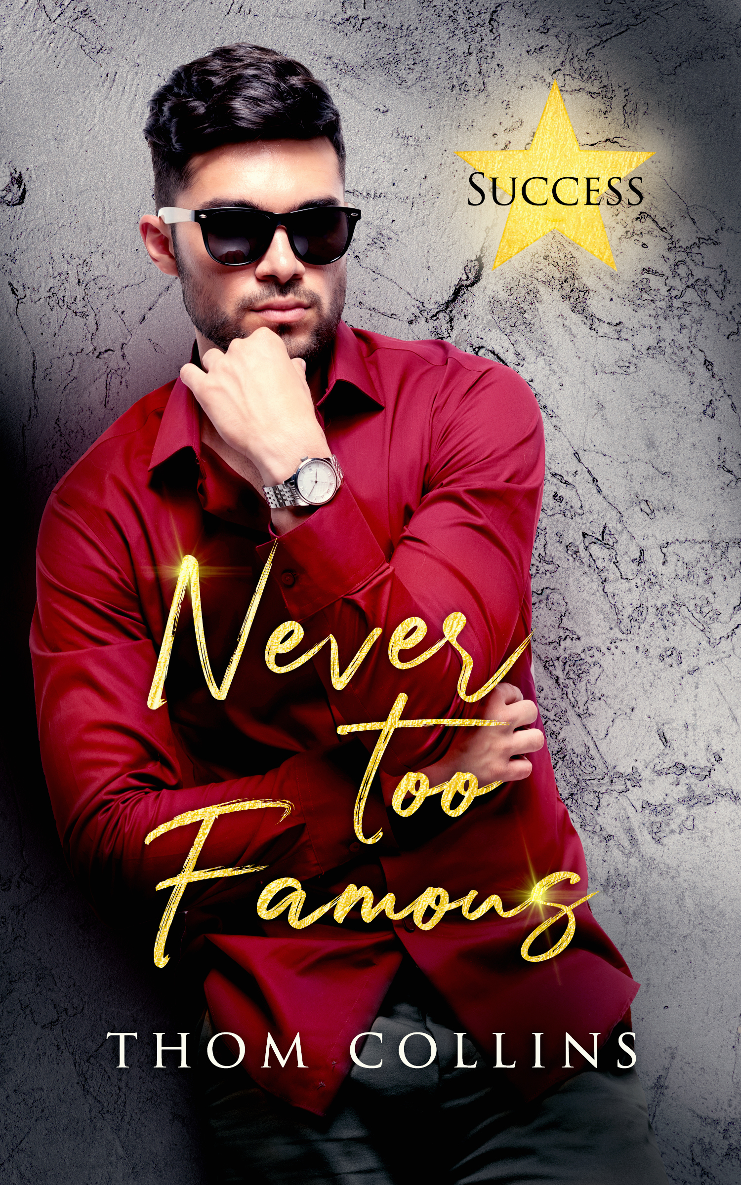 Never Too Famous (Success, #1) by Thom Collins | Goodreads