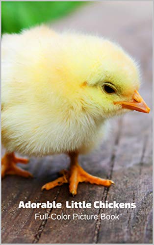 Adorable Little Chickens Full-Color Picture Book: Chicken and Chicks ...