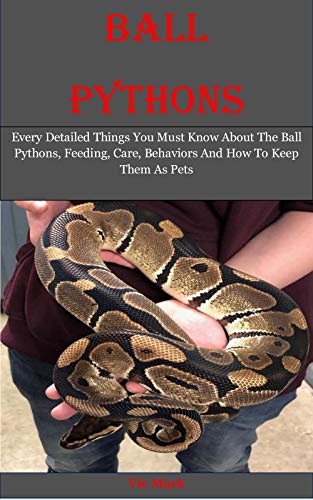 Ball Pythons: Every Detailed Things You Must Know About The Ball ...