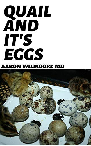 QUAIL AND IT'S EGGS: Explore the Healing and Nutritional Power Quail ...