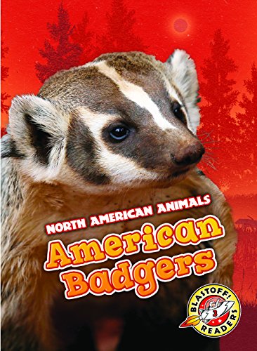 American Badgers (North American Animals) by Rebecca Sabelko | Goodreads