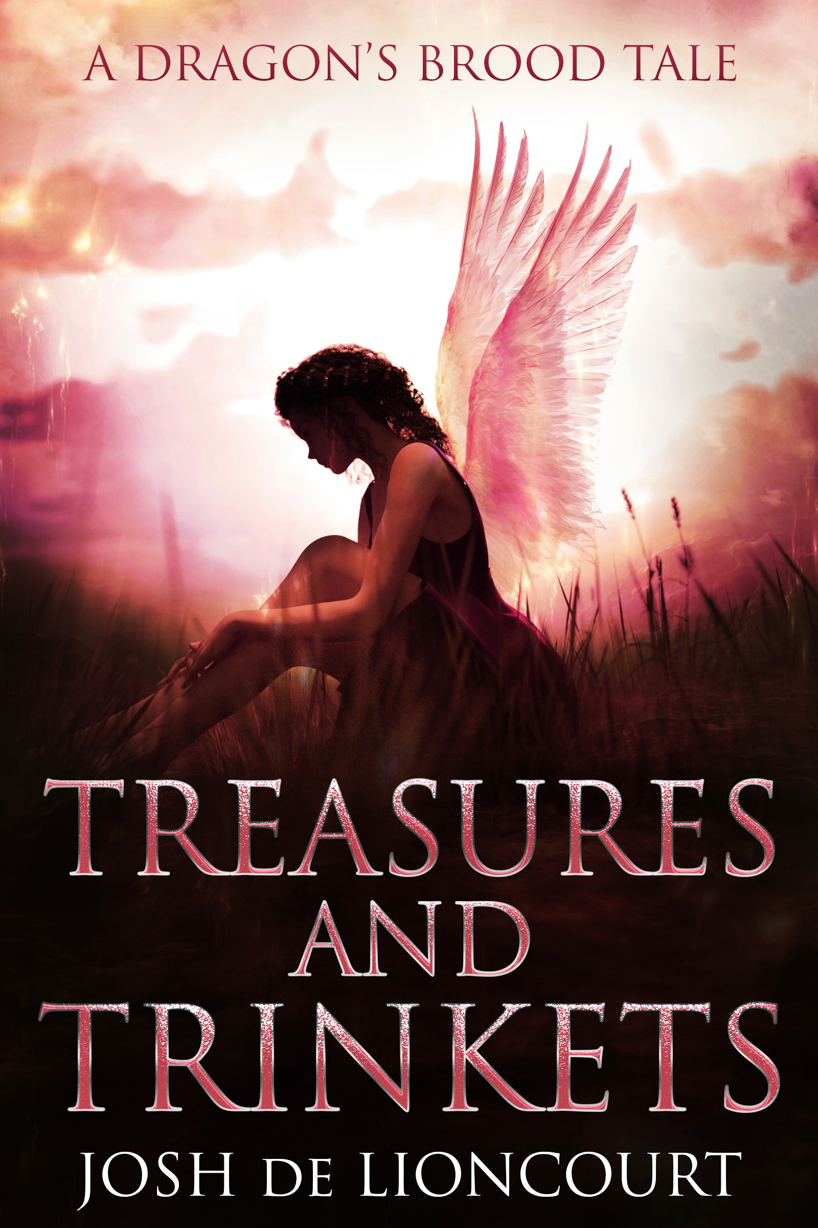 Treasures and Trinkets: A Dragon's Brood Tale by Josh de Lioncourt ...