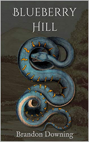 Blueberry Hill by Brandon Downing | Goodreads
